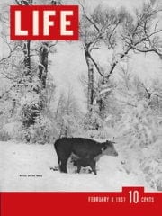 LIFE Magazine January 1986 @ Original LIFE Magazines.com, Unique Gift ...