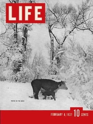 LIFE Magazine April 12, 1968 | MLK | Original LIFE Magazines