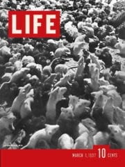 LIFE Magazine August 1986 @ Original LIFE Magazines.com, Unique Gift ...