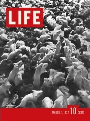 LIFE Magazine November 29, 1963 @ Original LIFE Magazines.com, Unique ...
