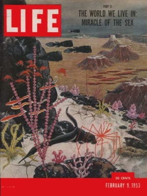 LIFE Magazine February 9, 1953 @ Original LIFE Magazines.com, Unique ...